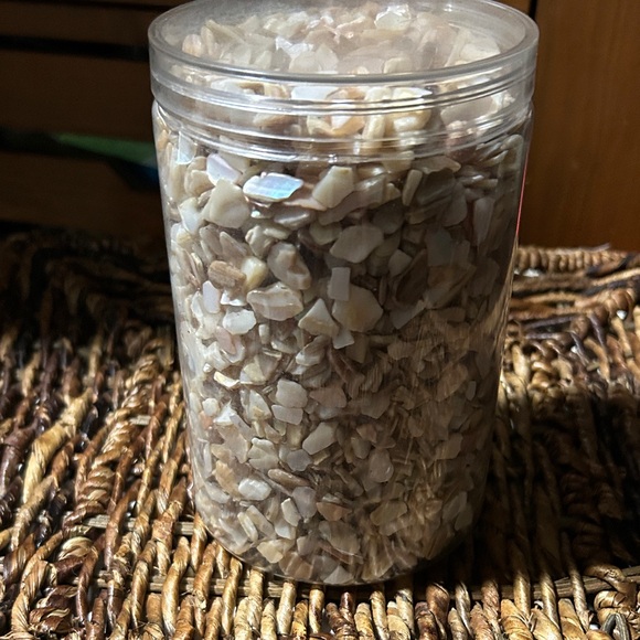 Pottery Barn | Accents | Pottery Barn 35 Lbs Of Seashell Pieces Bnwt ...